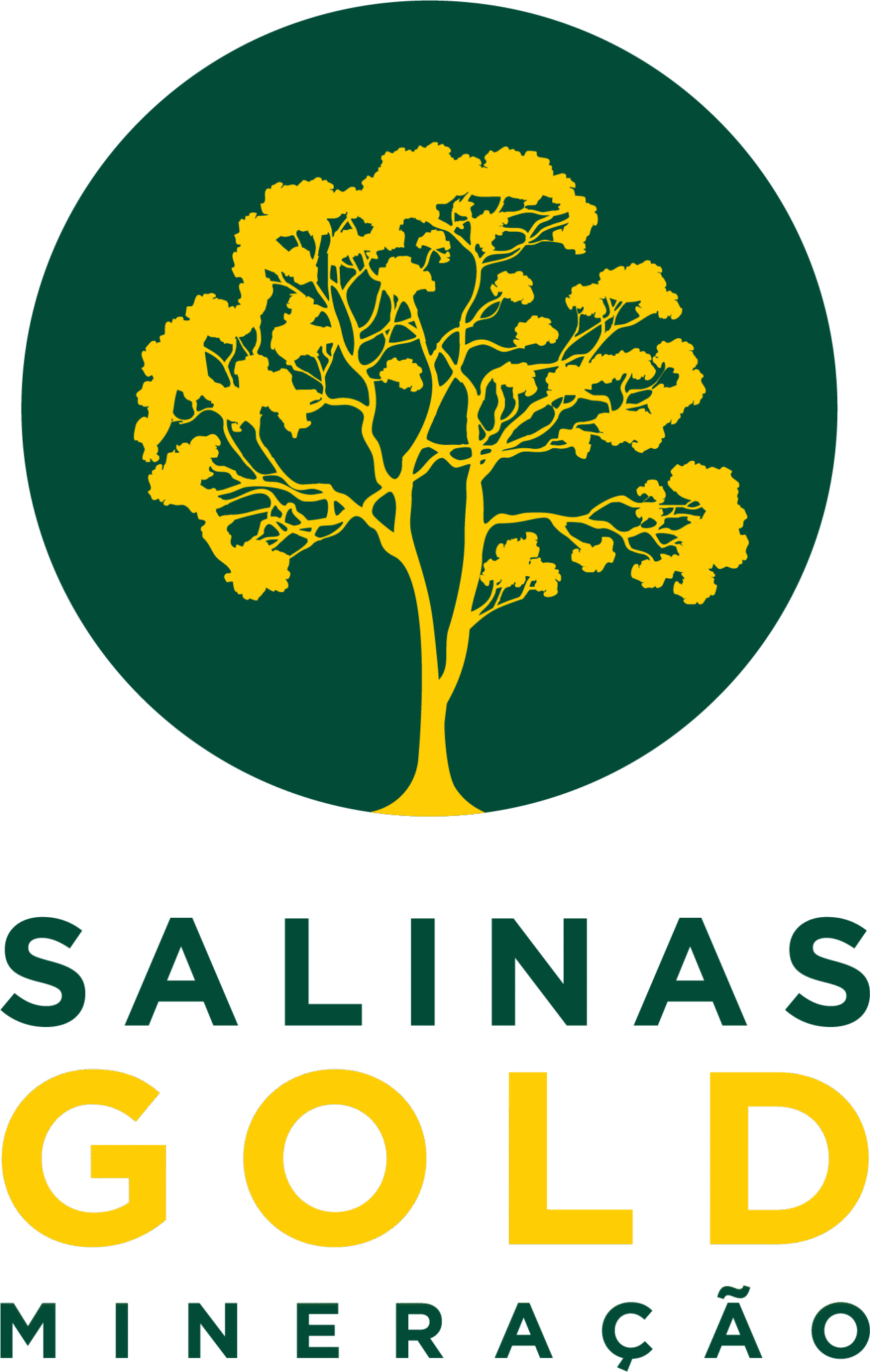 Salinas Gold Mineração – Nossa força está na origem, no compromisso, no ...